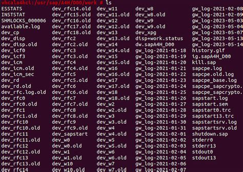 How To Solve A Broken Sap Start Profile Sap Abap Platform 1909
