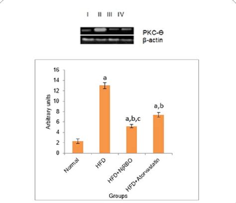 Expression Analysis Of Protein Kinase C θ Pkc θ In Isolated T