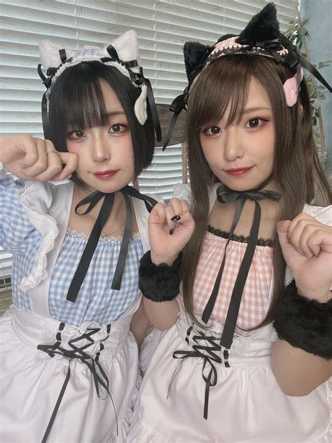 Cbfvector On Twitter かわいい