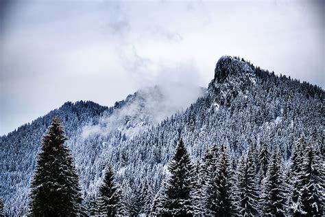 HD Wallpaper Bulgaria Smolyan Nevyasta Snow Trees Mountain Plant