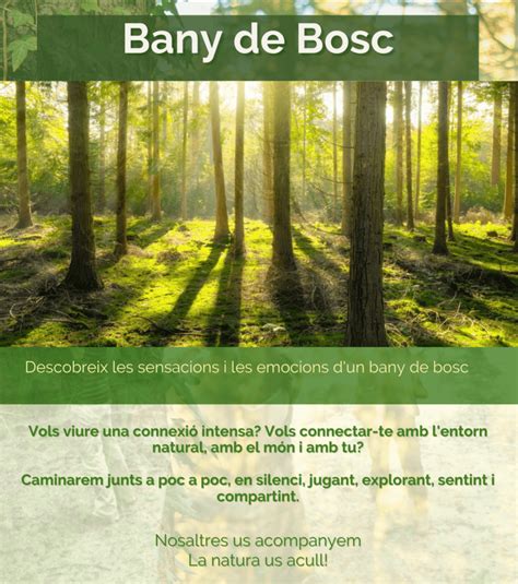 Bany De Bosc General Biotop Natura