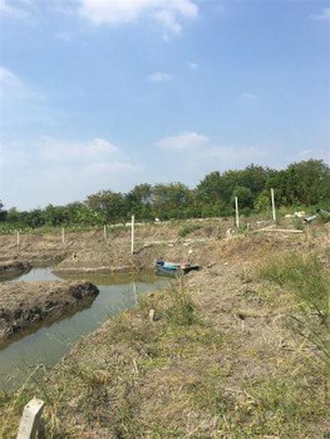 ขาย ที่ดิน บ้านดอนขนาก ซอย 5 นครปฐม 5 0 0 ไร่ ใกล้ มหาวิทยาลัยคริสเตียน Ennxo