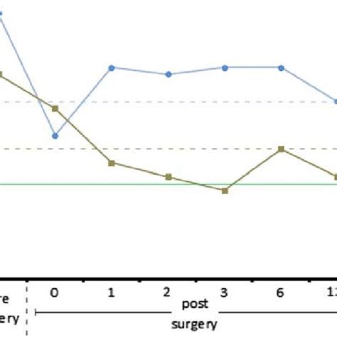 Yale Brown Obsessive Compulsive Scale Ybocs Scores Before Surgery And Download Scientific
