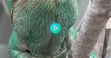 Im Training A New Guy At Work Im Pretty Sure He Got Stoned At Lunch