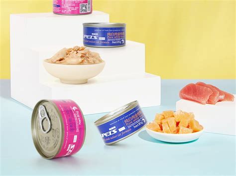猫罐头 狗罐头 猫粮 狗粮 啊离阿离猫 站酷ZCOOL