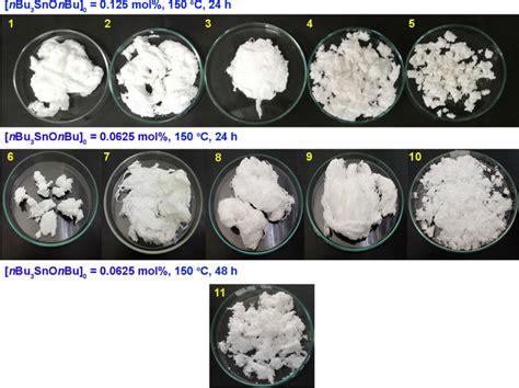 Physical Appearances Of The Synthesized PCLs Entries From The Download Scientific