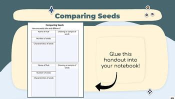 FOSS Slides Structures Of Life Investigation Seed Search By SarahAnne