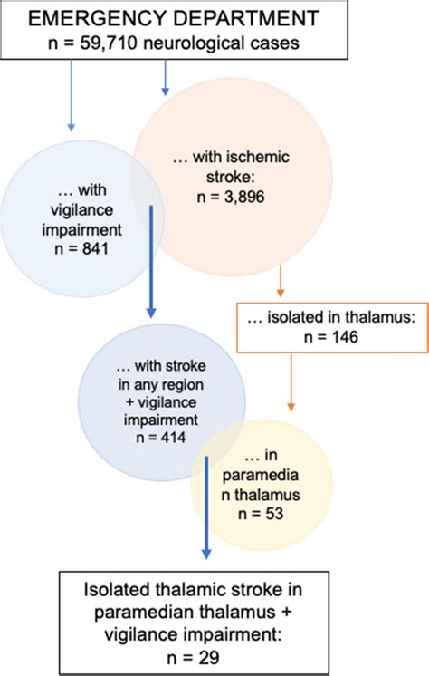 Flowchart Characterizing Recruitment Of Patients As Well As Frequency
