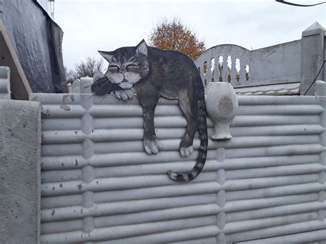 Кот на заборе