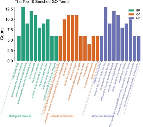 GO Gene Ontology Biological Function Analysis Results Download Scientific Diagram