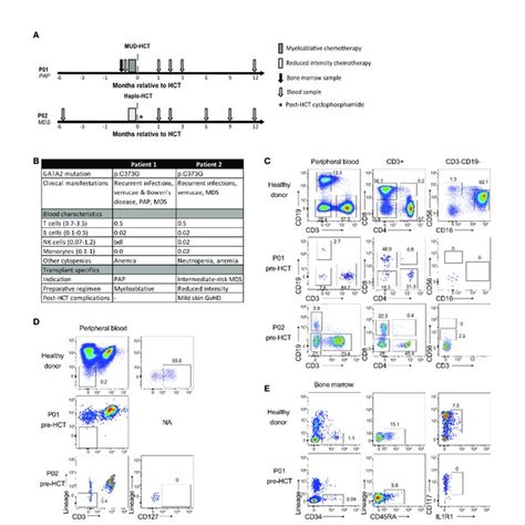 Deficiency Of T B Nk Cell And Ilc In Gata2 Haploinsufficiency A
