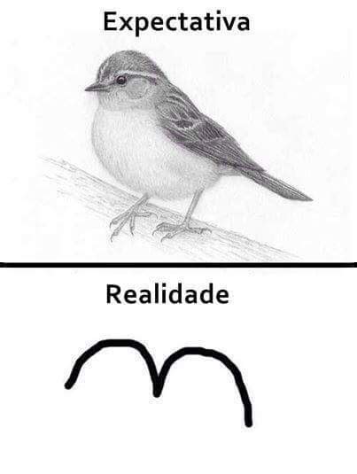 The Best Passarinho Memes Memedroid