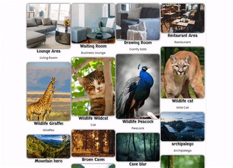 Introducing Wpmozo Masonry Gallery For Elementor Wpmozo