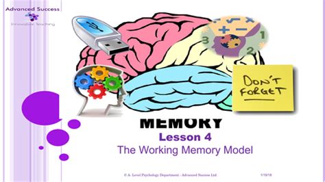 Powerpoint Memory Lesson 4 The Working Memory Model Teaching Resources