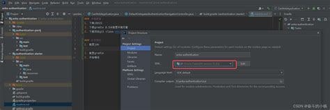 单点登录开源框架cas70x学习springbootgradlejdk21cas 对应jkd版本 Csdn博客