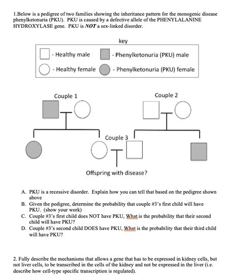 Below Is A Pedigree Of Two Families Showing The Inheritance Pattern For