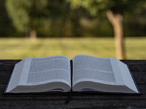 How To Effectively Plan A Chapter A Quintillion Words Book Reviewer