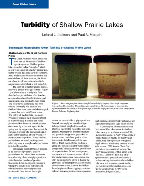 Pdf Submerged Macrophytes Affect Turbidity Of Shallow Prairie Lakes