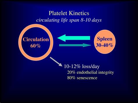 Ppt Platelet Refractoriness Powerpoint Presentation Free Download