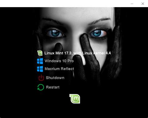 Where Would I Put GRUB For A Dual Boot Windows 10 Forums