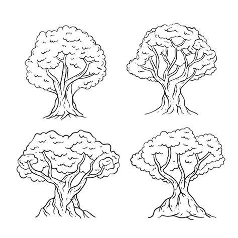 Big Tree Drawing Vectors Illustrations For Free Download Freepik