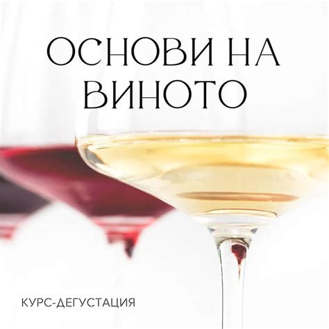 Курс ОСНОВИ НА ВИНОТО в София Винени обучения