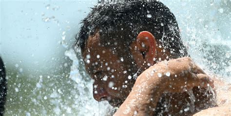 Ola De Calor ¿cuál Es La Temperatura Máxima Que Puede Soportar El