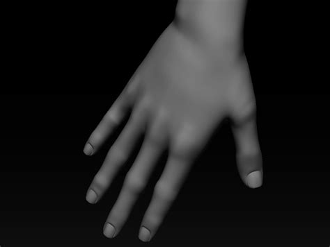 Female Base Mesh With Genital