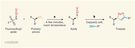 Double Click Enables Synthesis Of Chemical Libraries For Drug Discovery