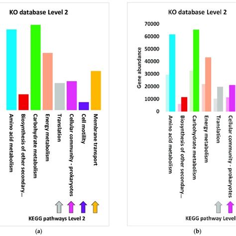 abundance of genes encoding enzymes of the different functional