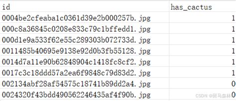 Pytorch 创建数据集pytorch制作数据集 Csdn博客