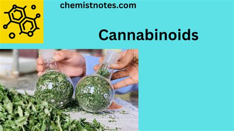 Determination Of Total Flavonoid Content Easy Protocol Chemistry Notes