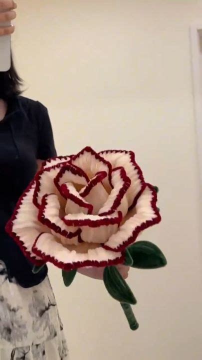 100เส้น Diy ลวดกำมะหยี่ ลวดกำมะหยี่ขนาด 30 Cm แยกสี สร้างสรรค์งานประดิษฐ์ต่างๆ ทำดอกไม้ นุ่ม ดัด