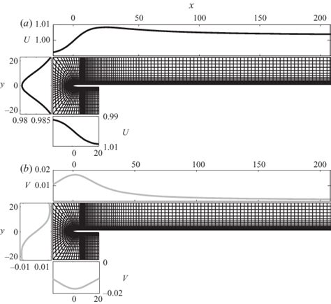 far field dirichlet boundary conditions used for the mean flow