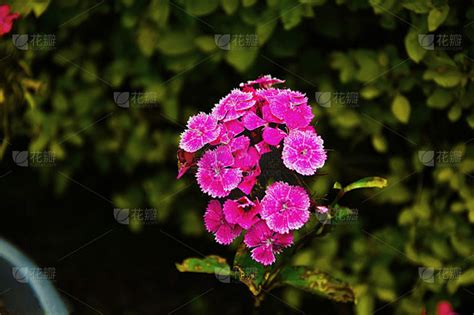 投资组合