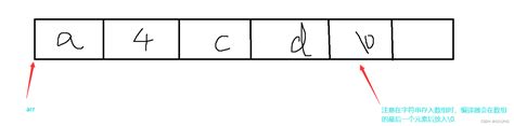 一维数组与二维数组的认识 Csdn博客