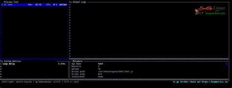 Learn Nodejs App Management And Getting Started With Pm2 On Rhelcentos