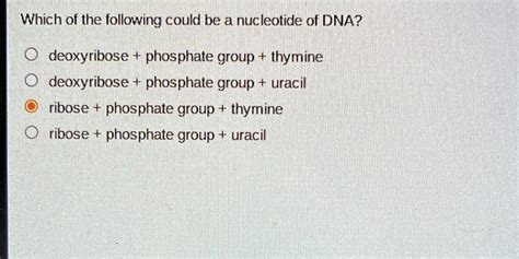 Which Of The Following Could Be A Nucleotide Of Rna Exploring Potential