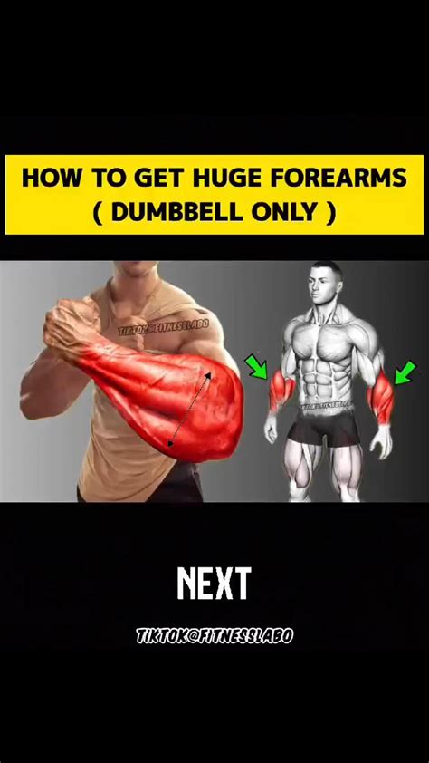 The Worlds Bicep Tricep Exercises To Build In 22 Days In 2024 Bicep