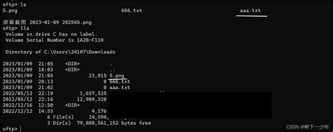 怎么实现将windows上的文件传到linux、将linux上的文件传输到windows、不同的linux设备之间文件传输windows传文件到linux Csdn博客