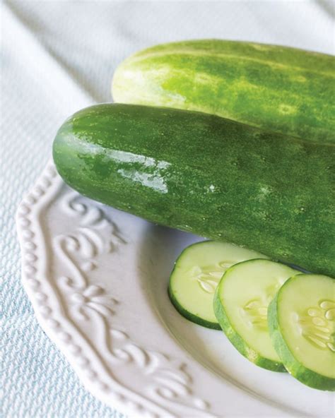 Cucumber Burpless Beauty Burpee
