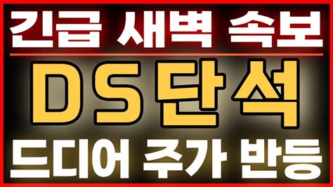 Ds단석 긴급 새벽 속보 드디어 주가 반등 Youtube