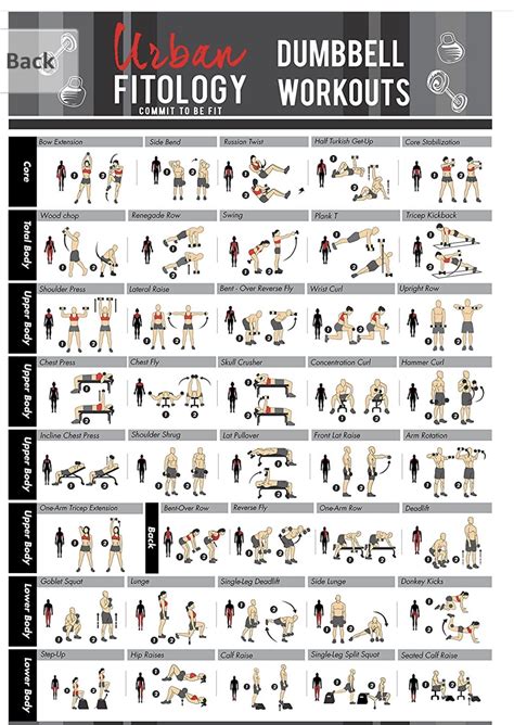 Full Body Workout Plan With Dumbbells
