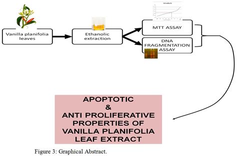 In Vitro Anti Proliferative Effects Of Ethanolic Extract Of Vanilla