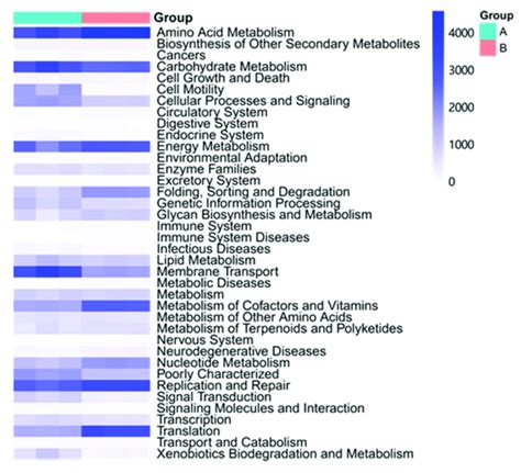 The Heatmap Of Ko Groups Predicted By Picrust Analysis In G Haimaensis