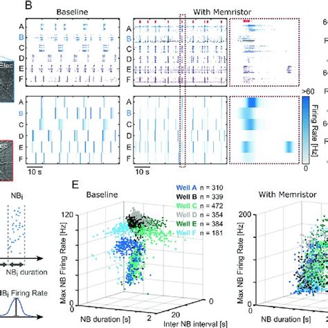 real time coupling and modulation of neuronal networks using a