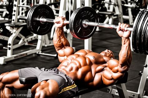 무술과 헬스 세계무술위키