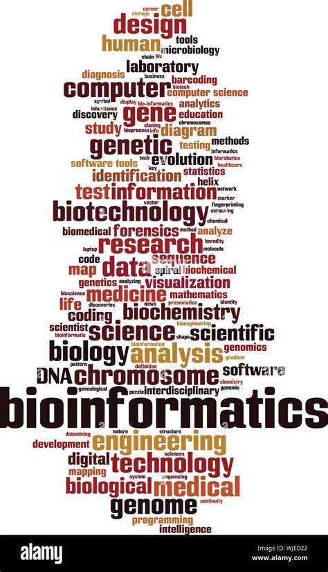 Bioinformatics Word Cloud Concept Collage Made Of Words About