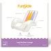 Funsicle Inflatable Lazy Recliner Lounge BIG W